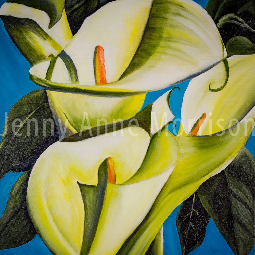 Jenny Anne Morrison – Artist Painter | Jenny Anne Morrison – Artist